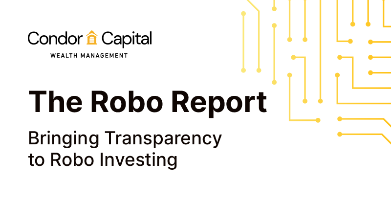 Performance Commentary – Condor Capital Wealth Management